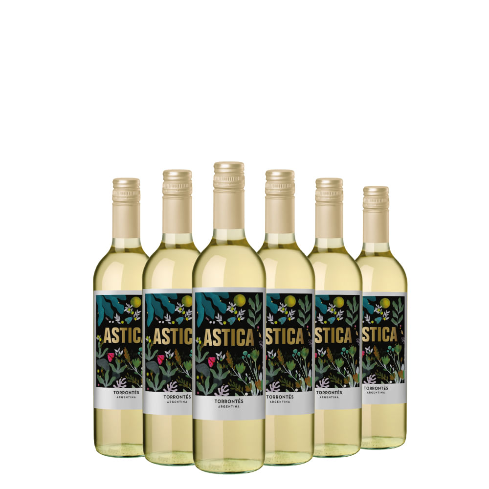 Kit Vinho Argentino Branco Astica Torrontes 750ml 06 Unidades - TodoVino